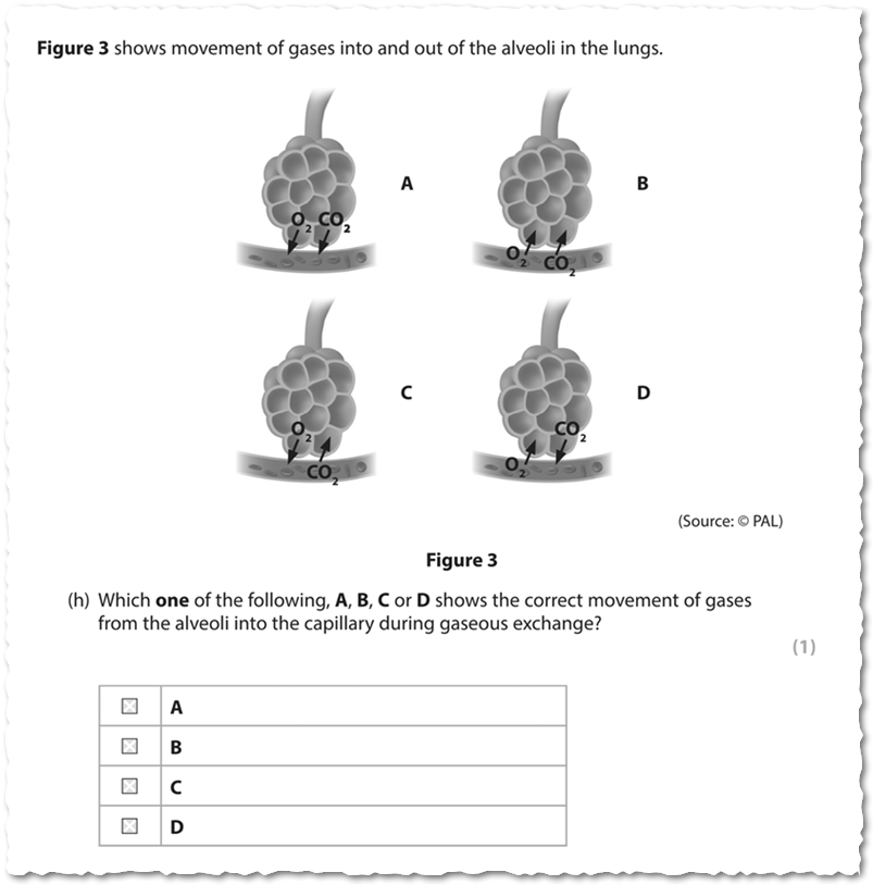 Changes to Edexcel GCSE PE Exams - Will this arrest the slump?