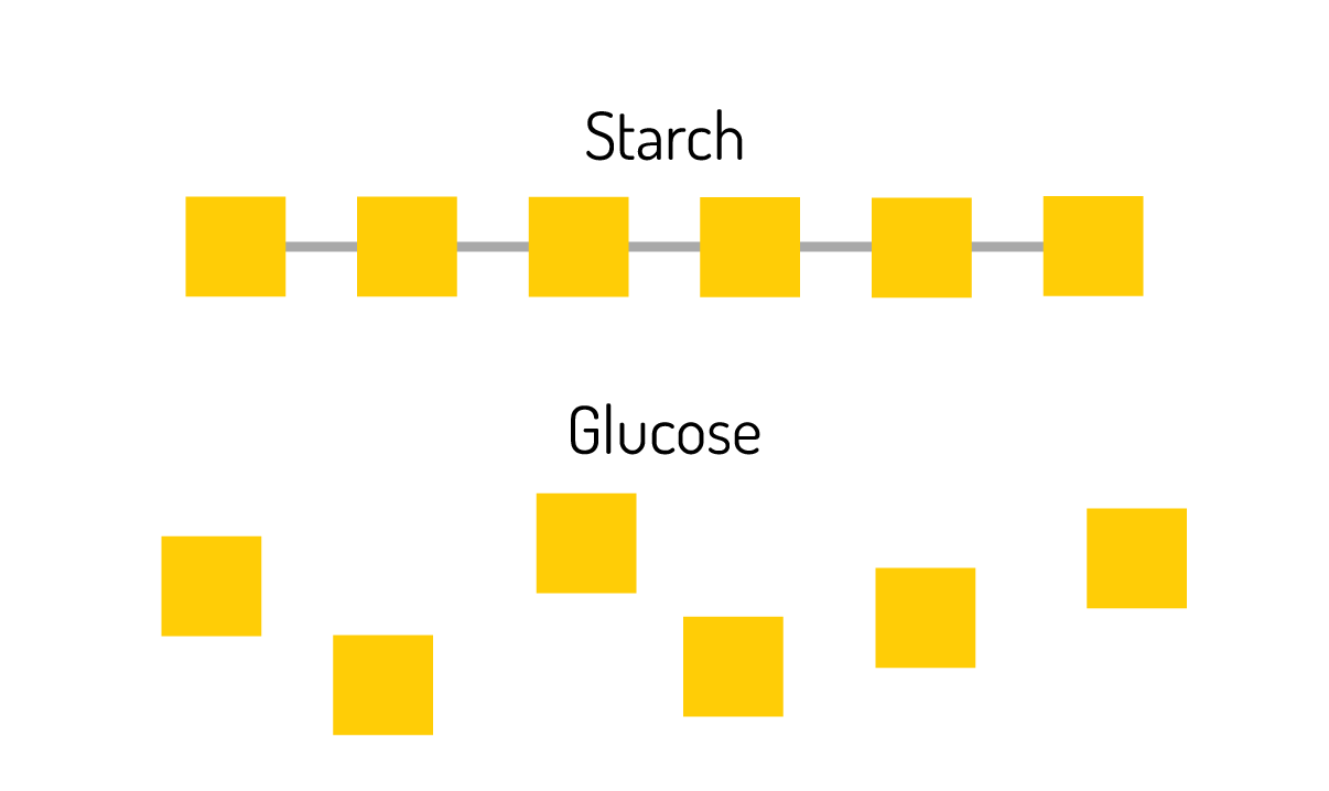How I Teach Diet and Nutrition in PE
