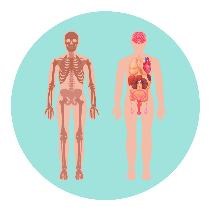 Key Stage 3 Physical Education