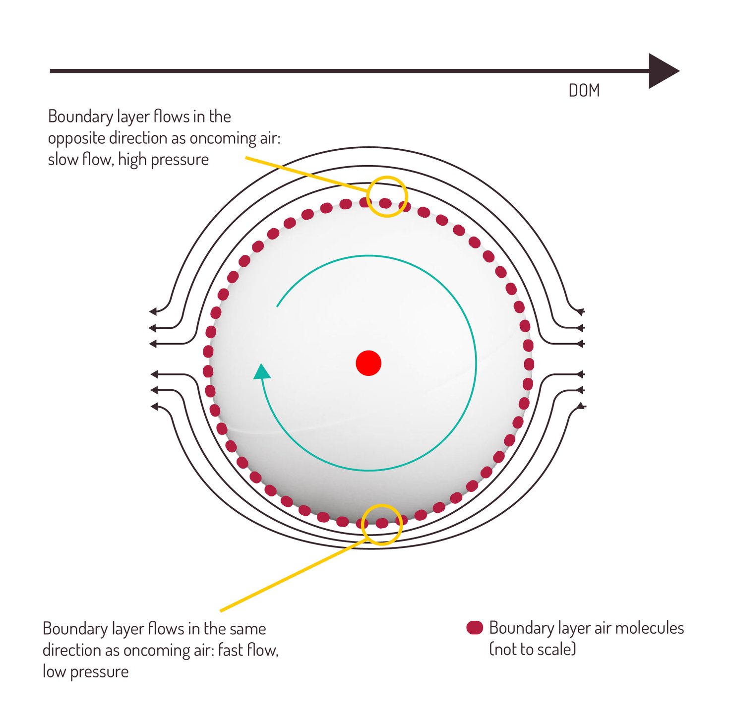 Fluid mechanics: Teaching the Magnus force