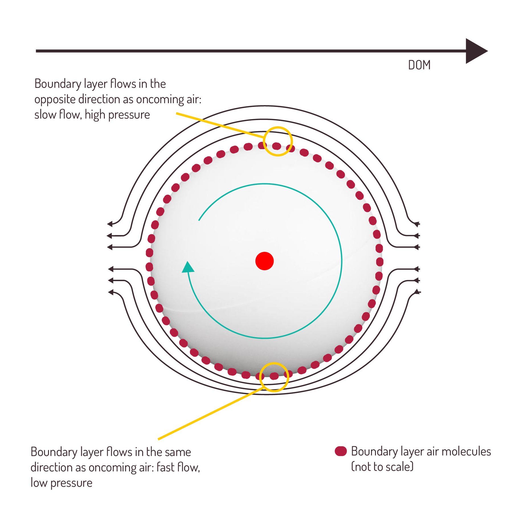 Fluid mechanics: Teaching the Magnus force