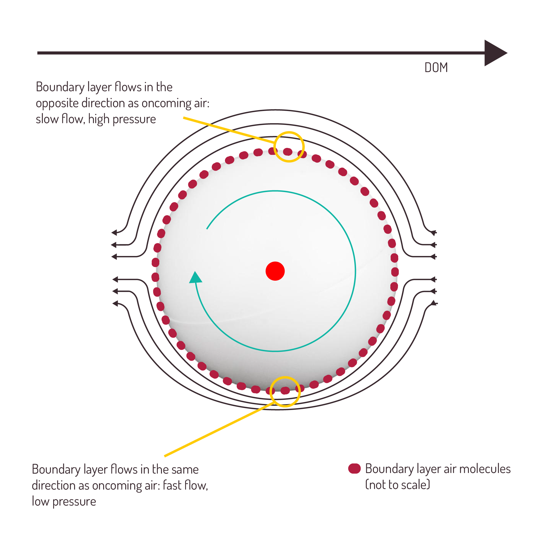 Fluid mechanics: Teaching the Magnus force