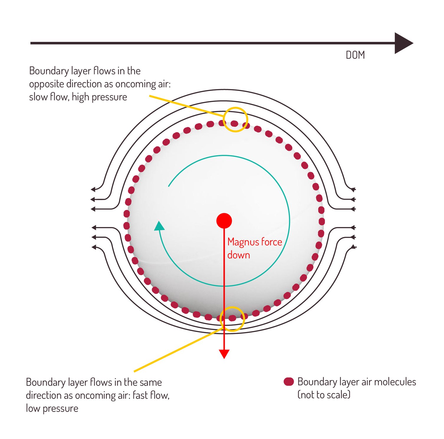 Fluid mechanics: Teaching the Magnus force