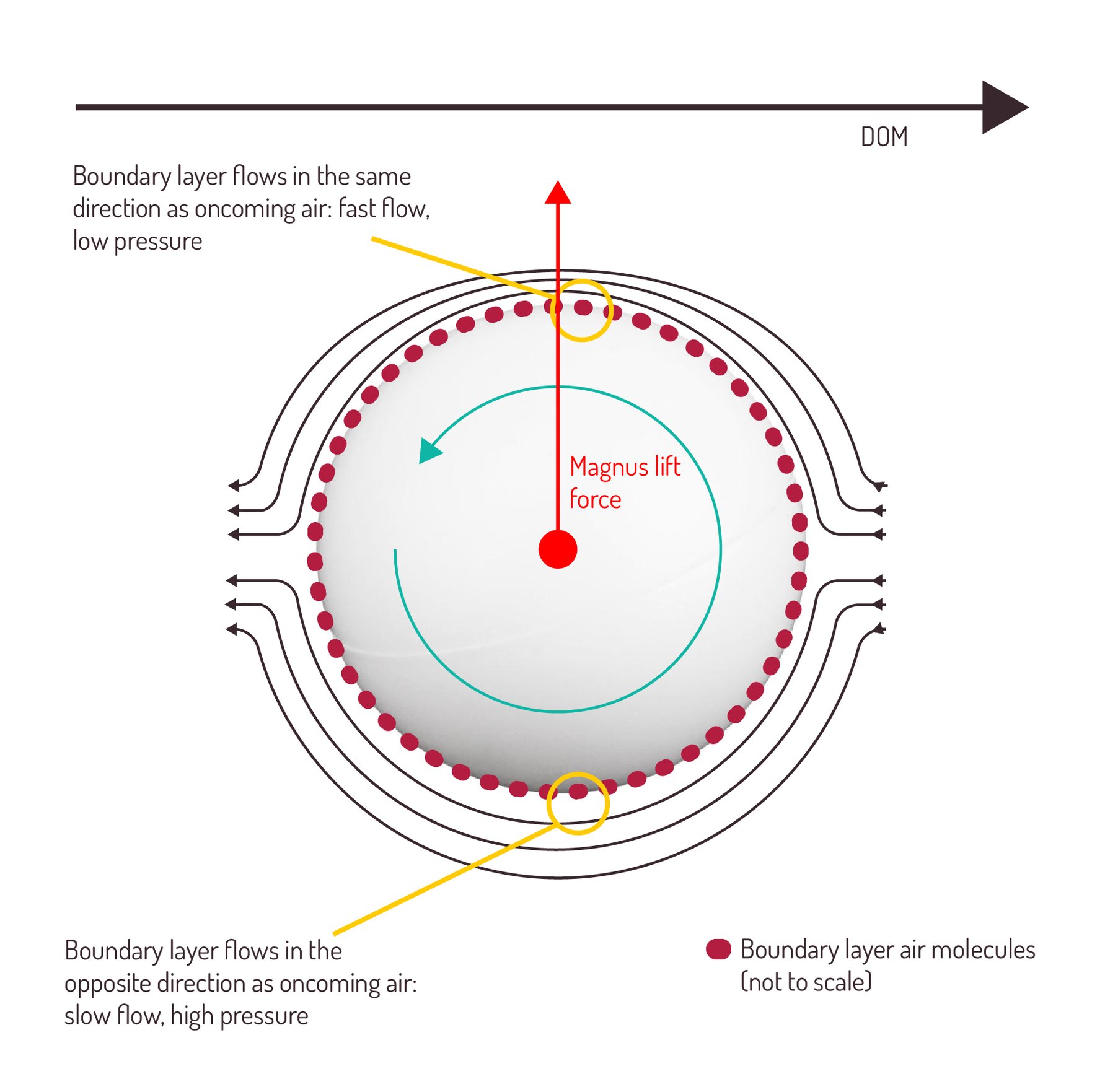 Fluid mechanics: Teaching the Magnus force
