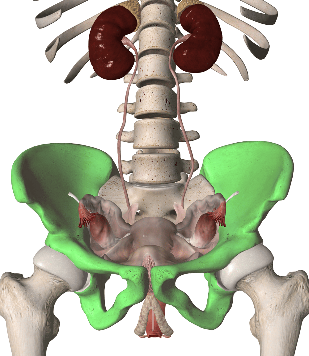 Ten Principles of my GCSE PE Classroom Part 2